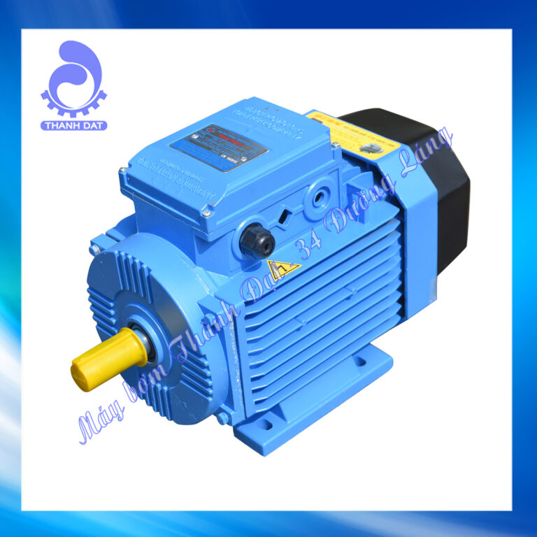 Motor Toàn Phát 1 pha công nghiệp TP100-4 2HP 1.5KW