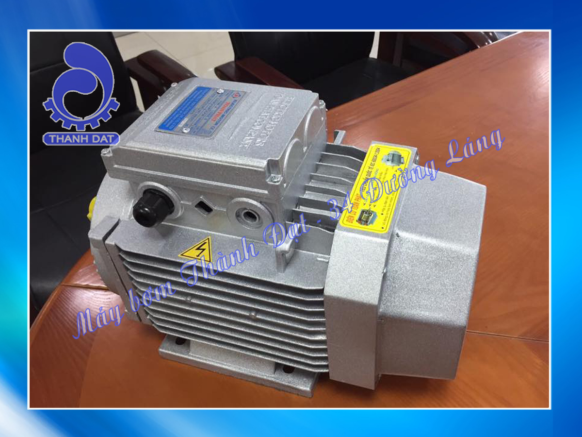 Motor điện Toàn Phát 2HP TP100-4 1.5KW 1 pha | Động cơ điện